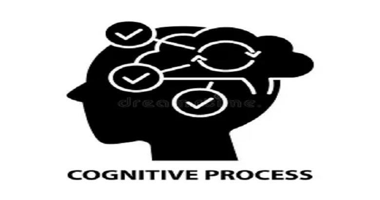 Understanding Cognitive Meaning and Process